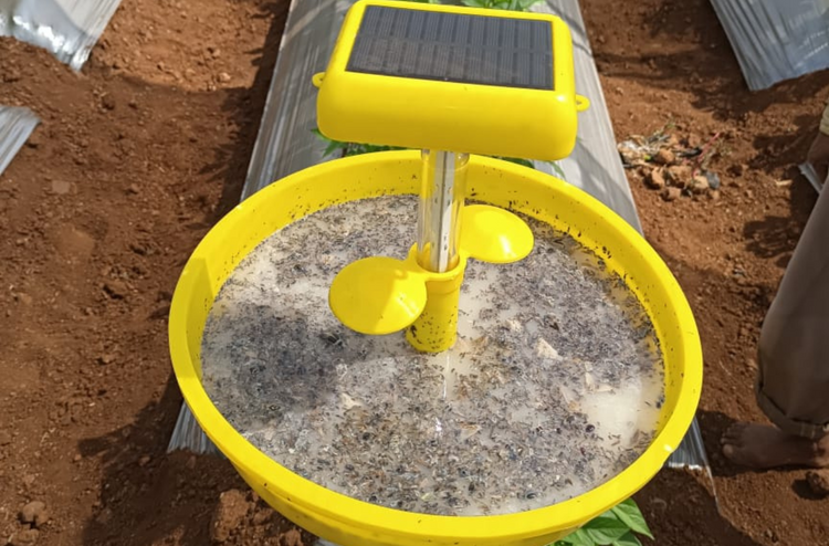 What Is the Use of Solar Light Trap? – Agri-Route