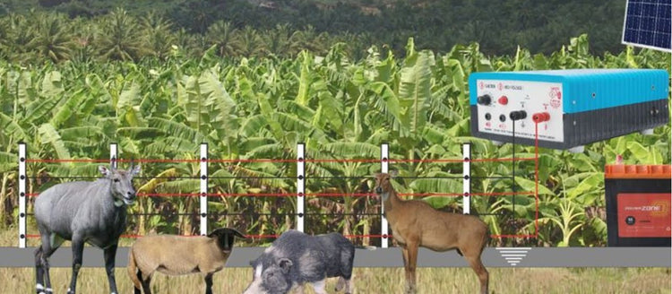 Zatka Machine - What Is It, Uses and Benefits! – Agri-Route