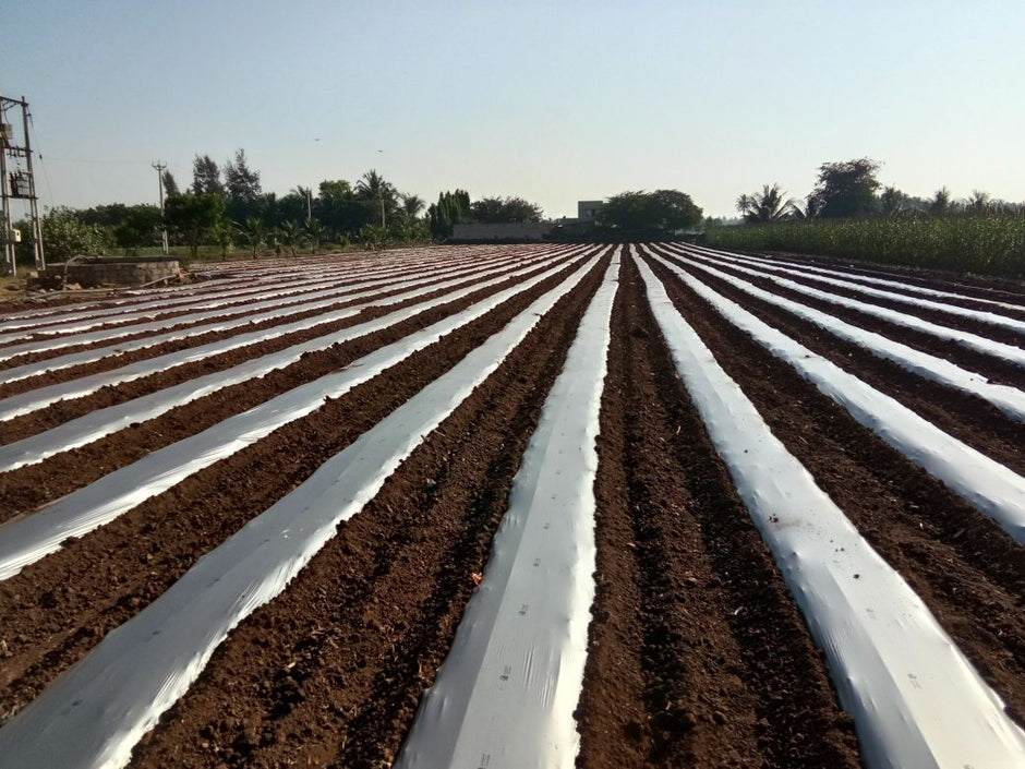 Buy Mulching Sheet Online | Agri Route, India – Agri-Route